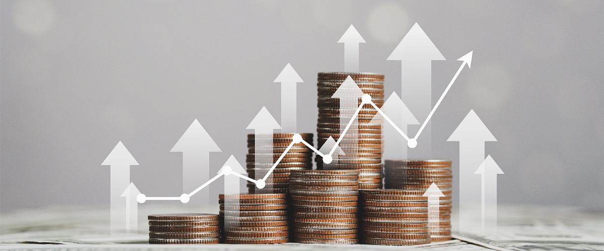 Residential vs Investment HoABL Dighi Plots Buying Guide